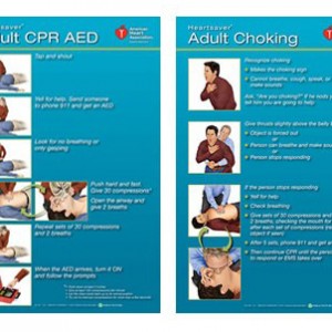 American Heart Association Posters | LifeSavers, Inc.